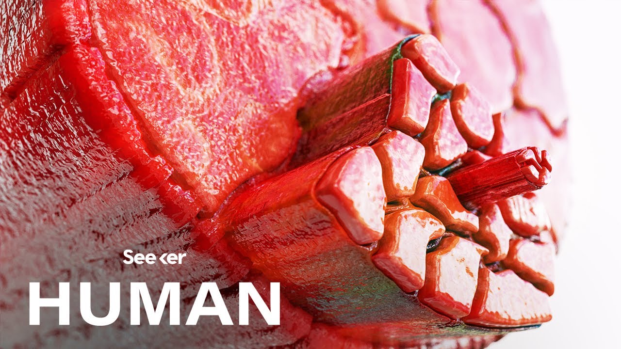 How to Build Muscle, According to Science - Stronger AF