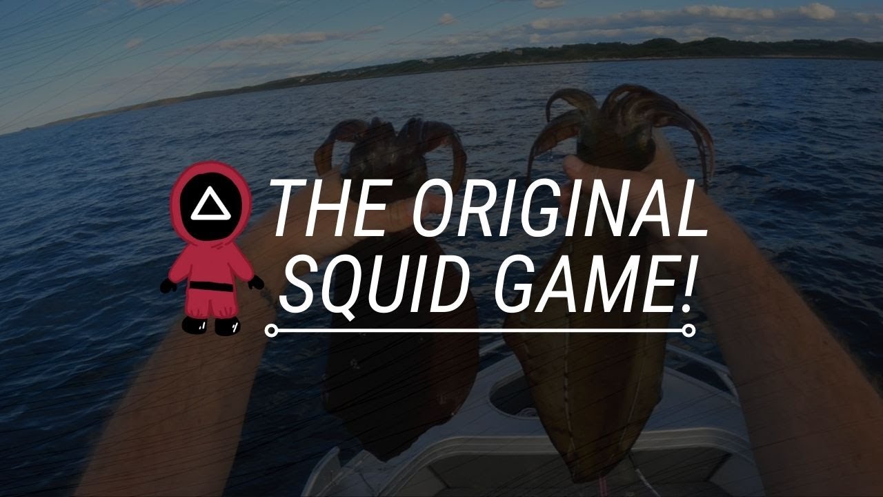 Squid Fishing Tasmania! (Southern Calamari) - YouTube