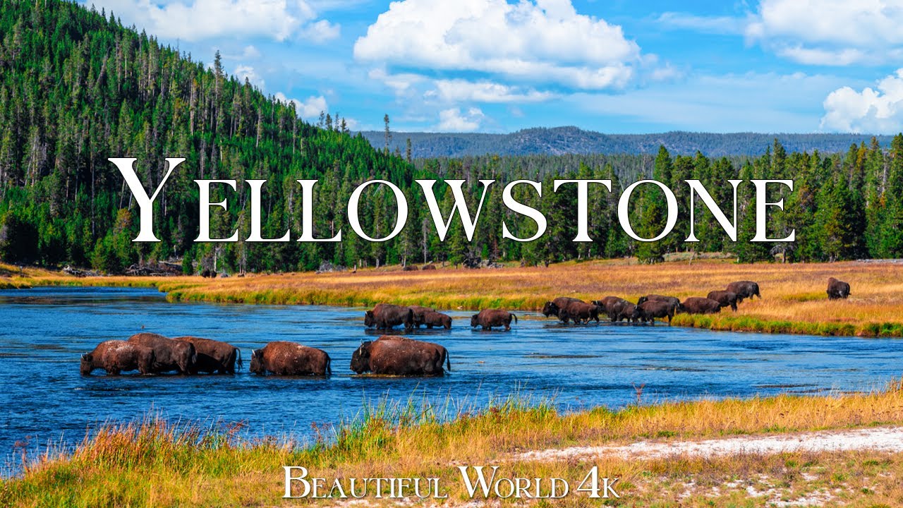 Yellowstone National Park 4K Ultra HD • Stunning Footage, Scenic ...