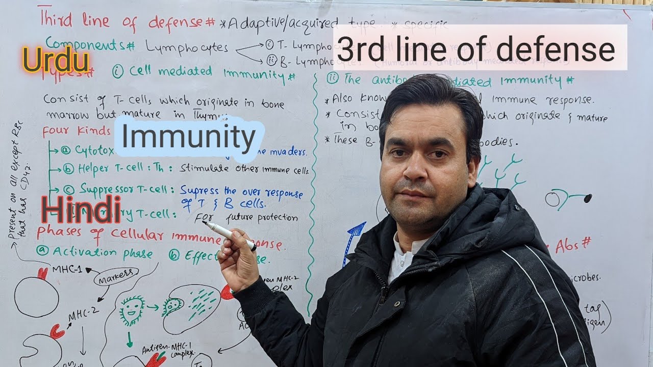 13.3 3rd line of defense || Immunity || Biology Class 11 || Dr Mushtaq ...
