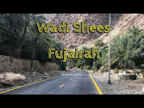 Wadi Shees Fujairah || Sharjah ||A Natural Trail || Syed ALI - YouTube