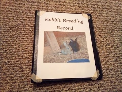 My Rabbit Breeding Records/How I Keep Track of My Rabbit Litters - YouTube