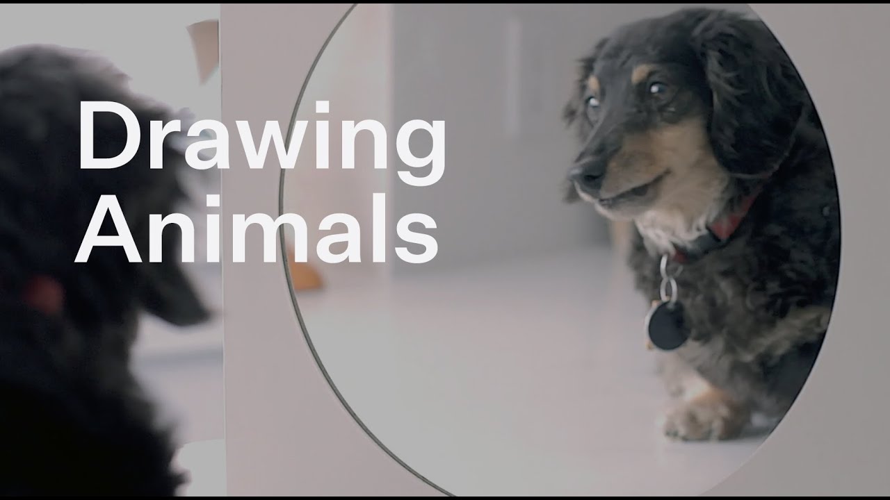 Drawing Animals: Live Drawing Party 4.14 - YouTube