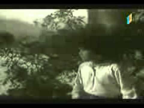 ogey_ana_1958_reg_40788.3gp