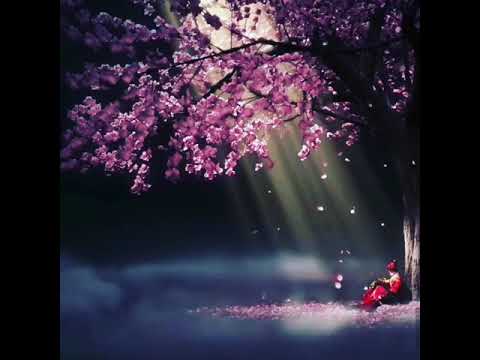 Payiz fesline aid supper 2018 ela