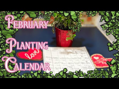 February 2024 Garden Planner | Plan With Me |  Moon Gardening | Astrological | The Zodiac