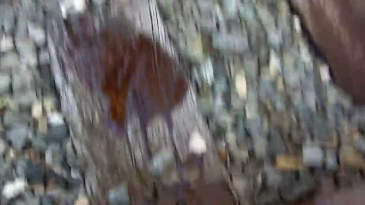 OMG Decapitated Head Prank - YouTube