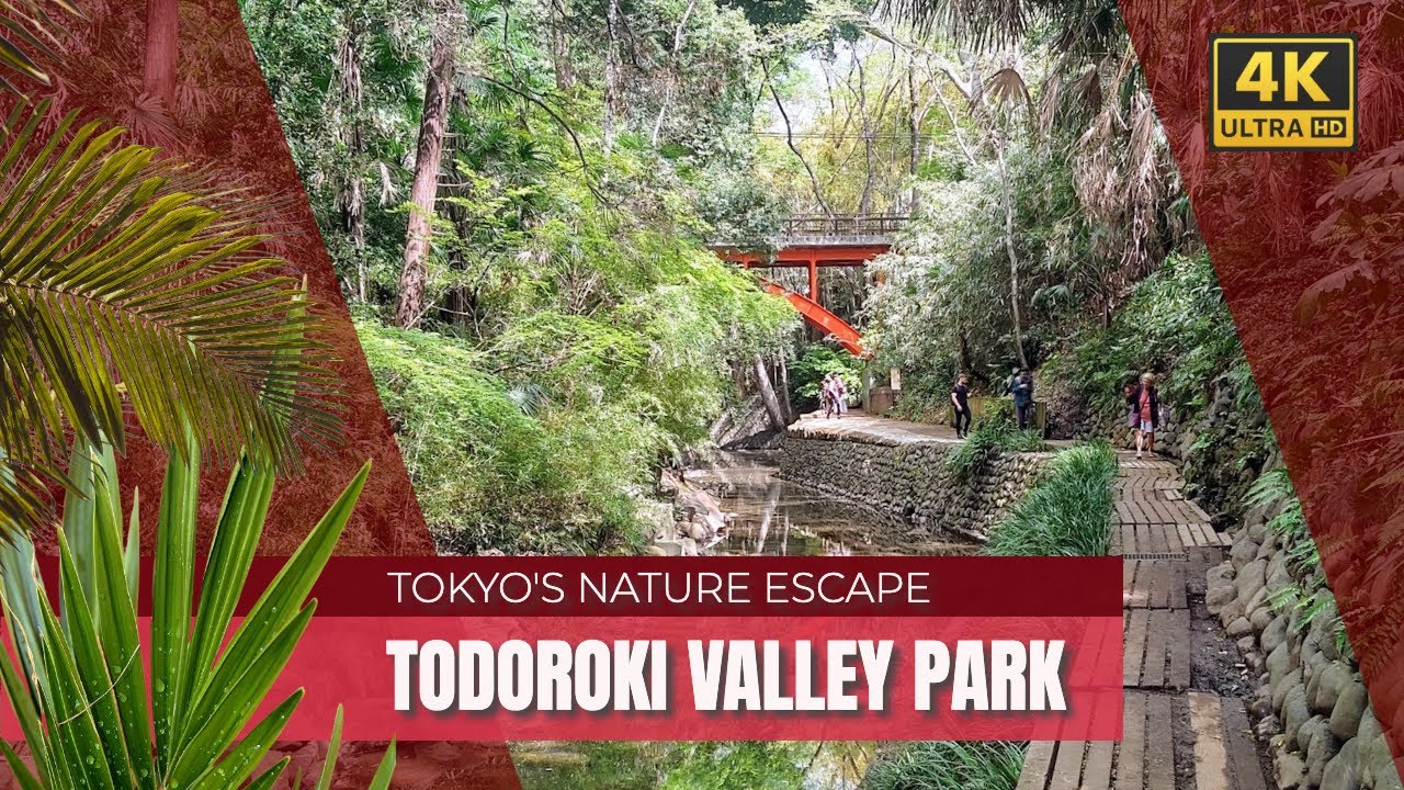 An escape from Tokyo within Tokyo - Todoroki Valley Park (4K) - YouTube