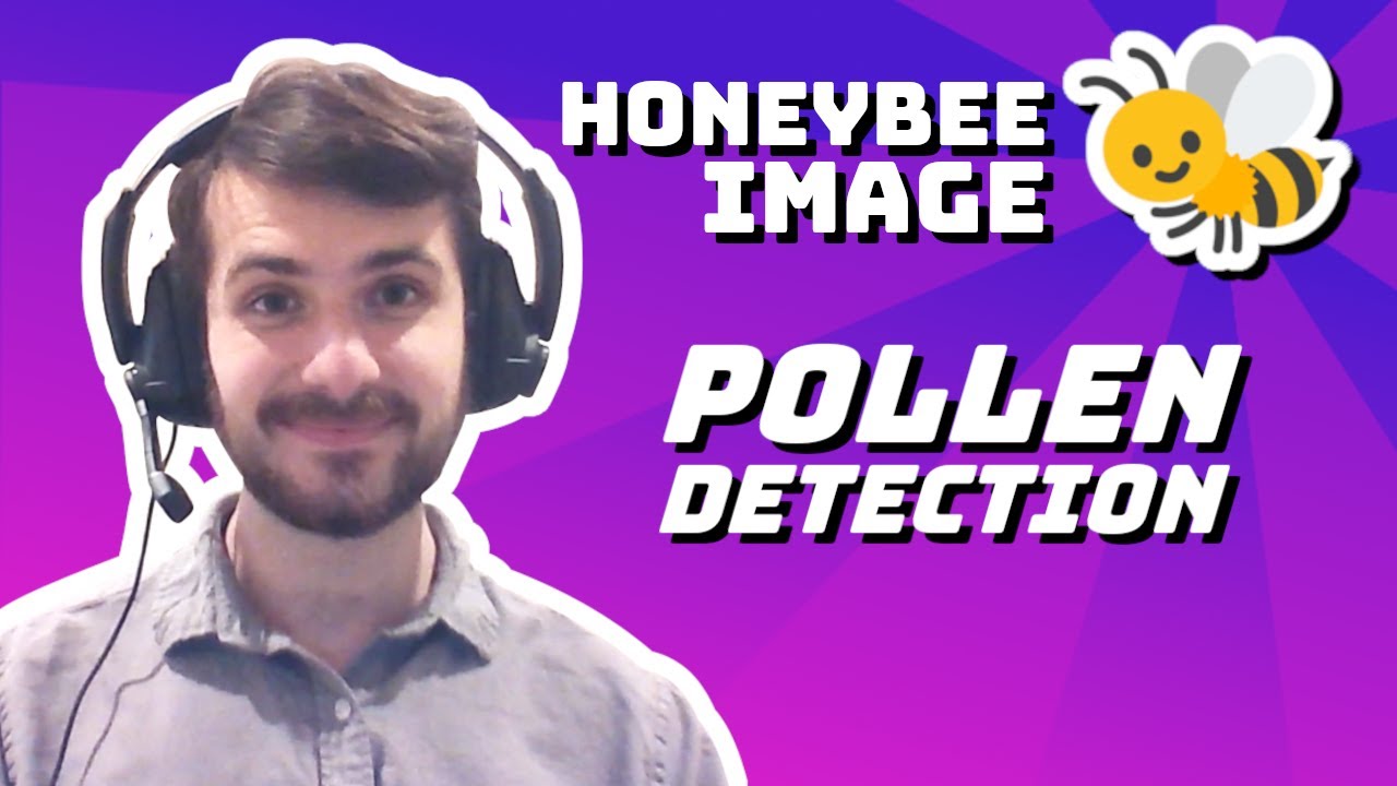 Honeybee Image Pollen Detection (CNNs) - Data Every Day #233 - YouTube