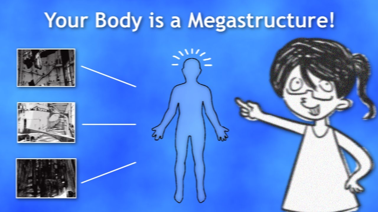 Your Body is a Megastructure! | Megastructure Games Educational Video ...