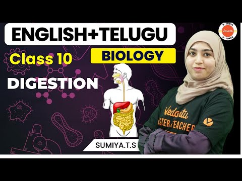 Life Processes class 10 Science Biology I CBSE 10 I Digestion PART-2 ...