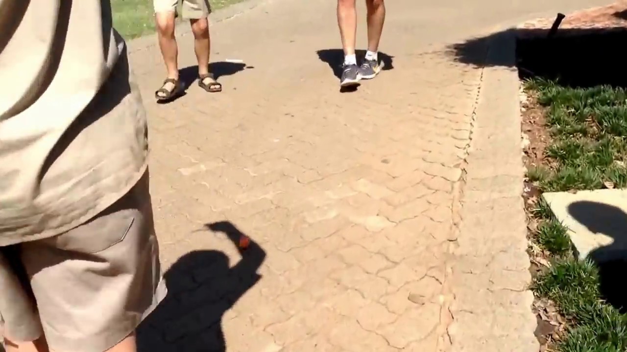 The wheel of awesomeness - YouTube