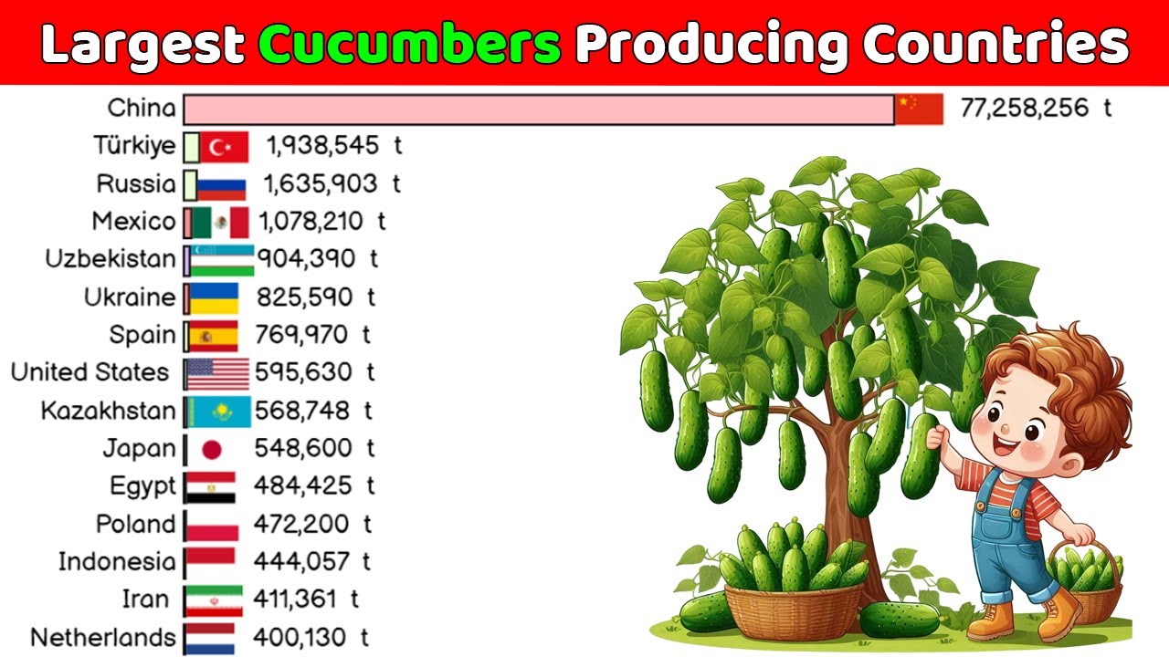 Largest Cucumbers Producing Countries in the World - YouTube