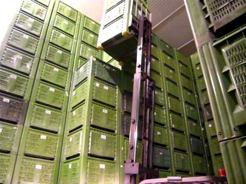 fruit control equipments controlled atmosphere loading apples in ...