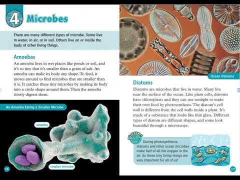 Cells and Microbes - YouTube