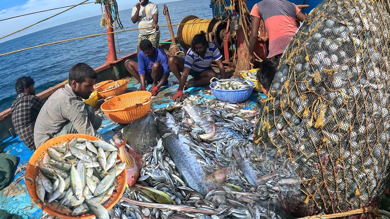 Big Catch Fishing in The Sea | Net Fishing in The Sea @KadalTv - YouTube
