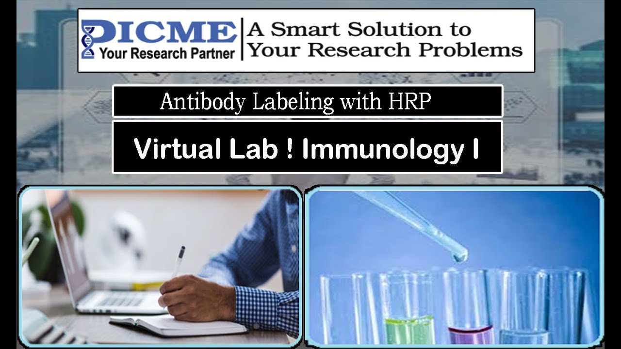 Antibody Labeling with HRP Virtual Lab! Immunology! PICME Labs! - YouTube