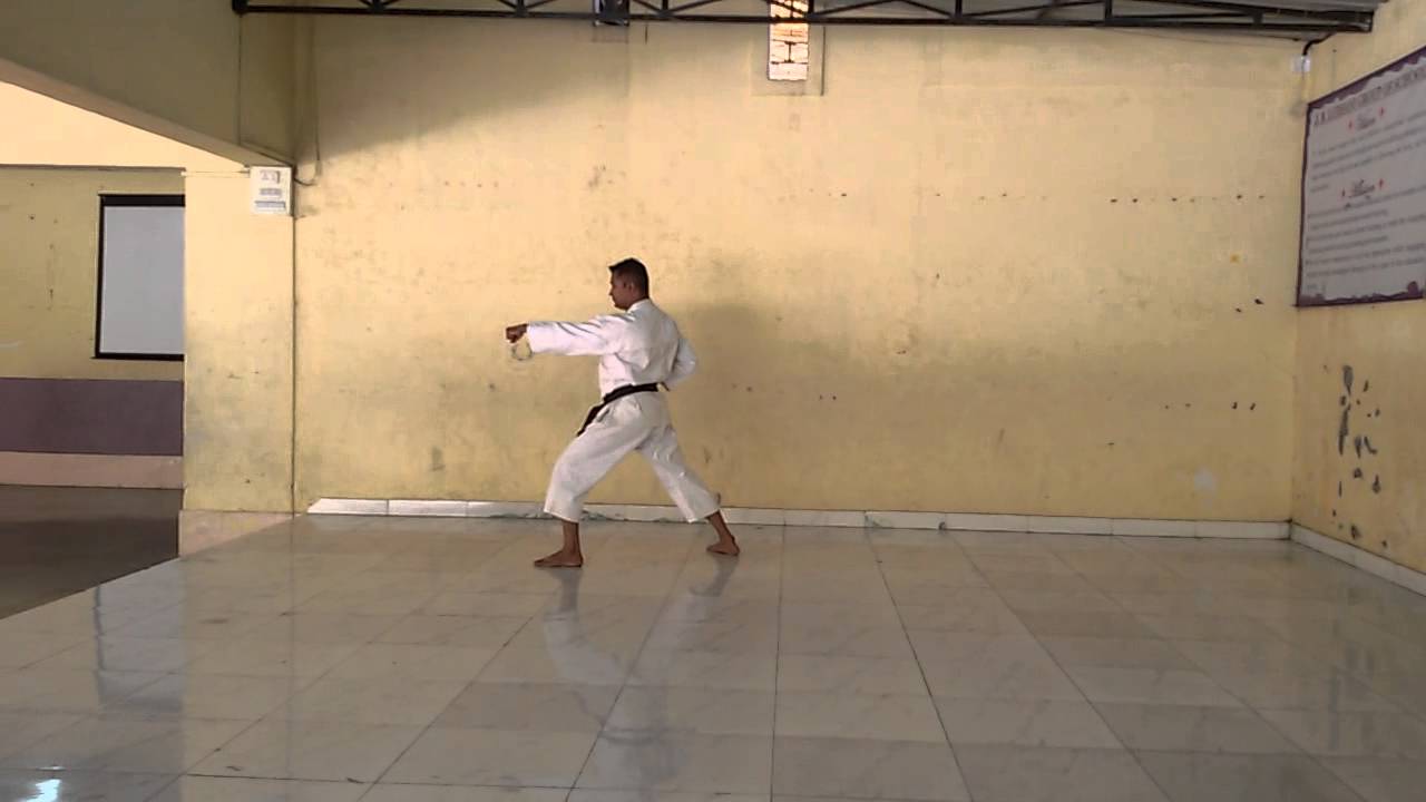 Indian sendo-ryu karate-do kata: TAIKVOKU SHODAN - YouTube