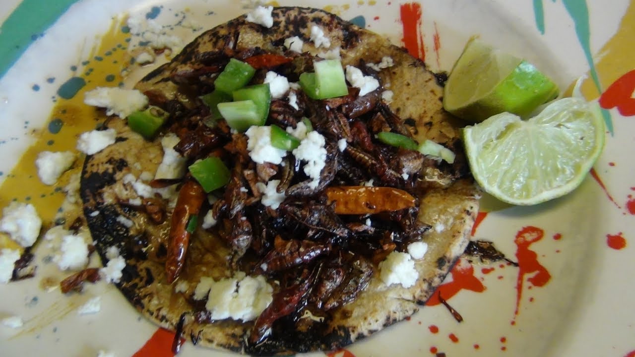 Sauteed grasshoppers with butter and garlic. - YouTube