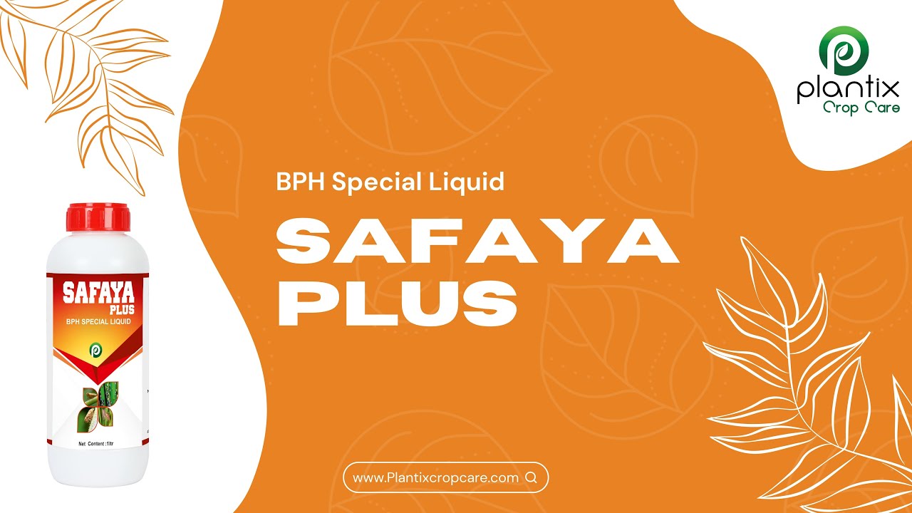 SAFAYA PLUS (Liquid Bio Formulation Product For BPH) - YouTube