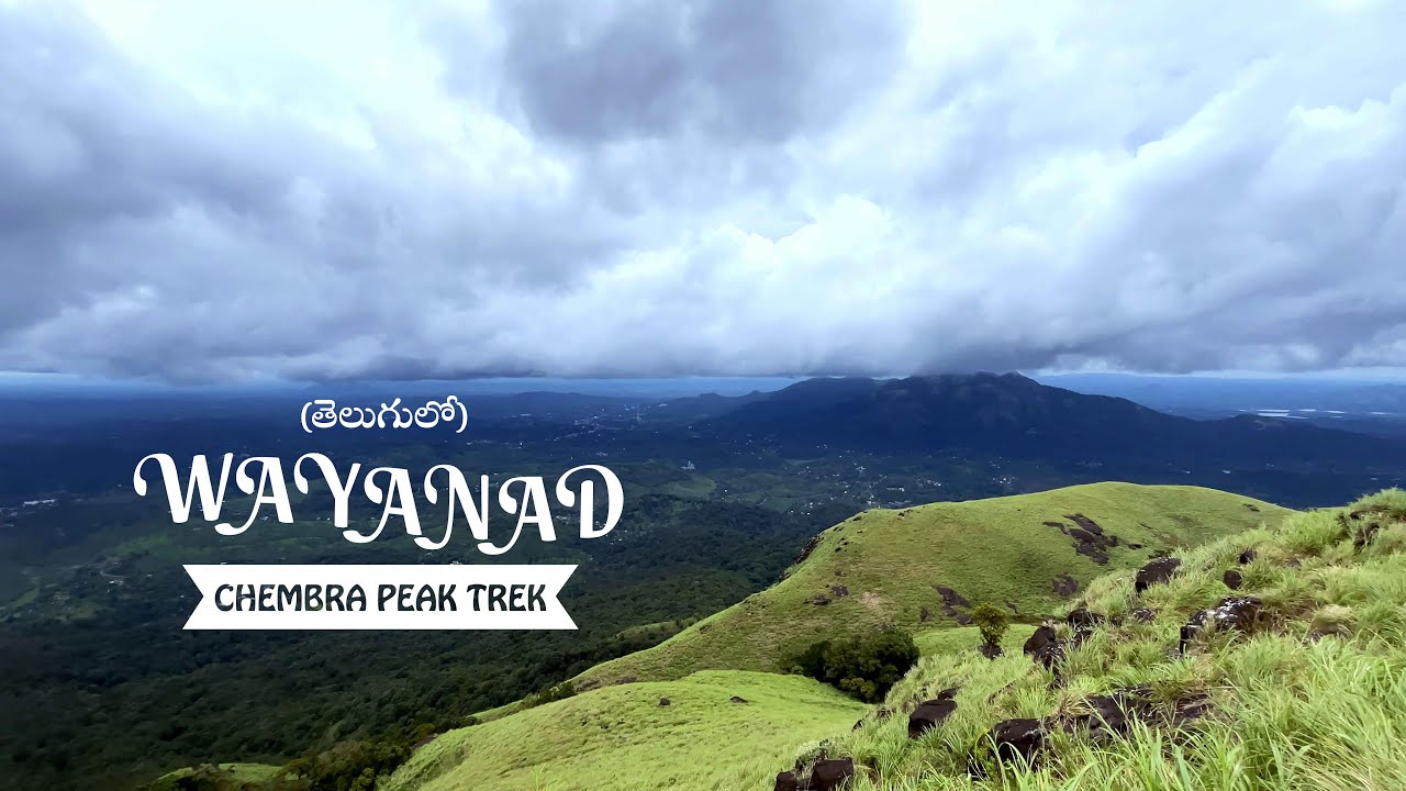Wayanad - Chembra Peak Trek | Kerala | Telugu Travel Video | Episode 2 ...