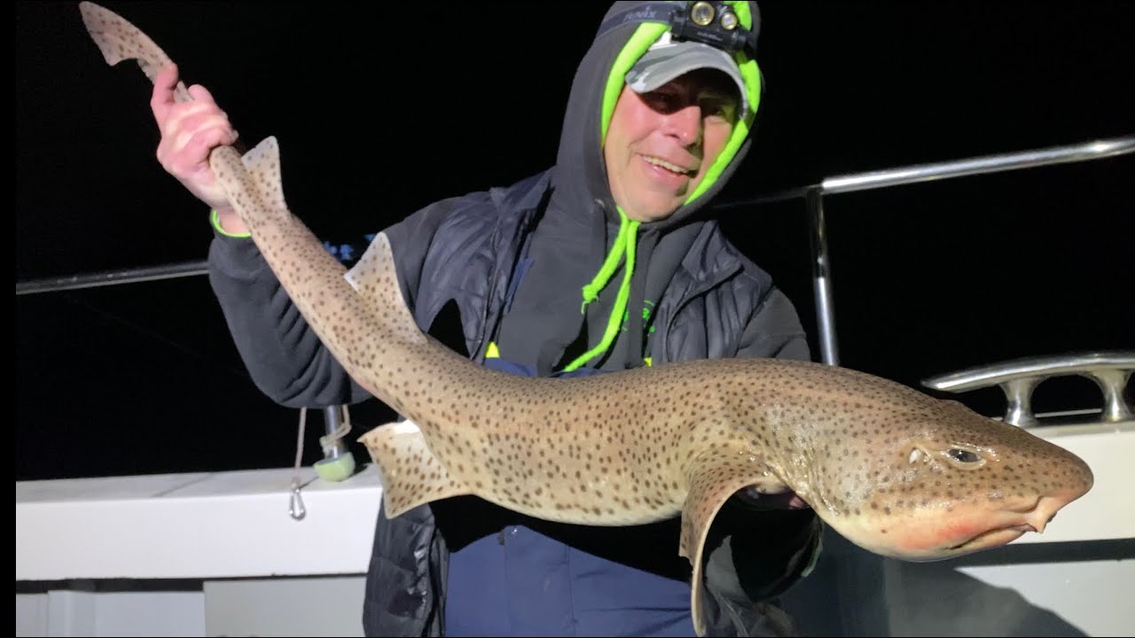 BIG-BULL-HUSS CRUSADER CHARTERS-PLYMOUTH - YouTube