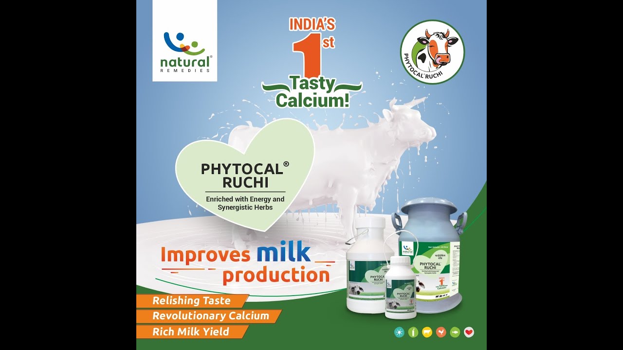 Phytocal Ruchi: Check Out Cows Enjoying The Moo-luscious Calcium ...