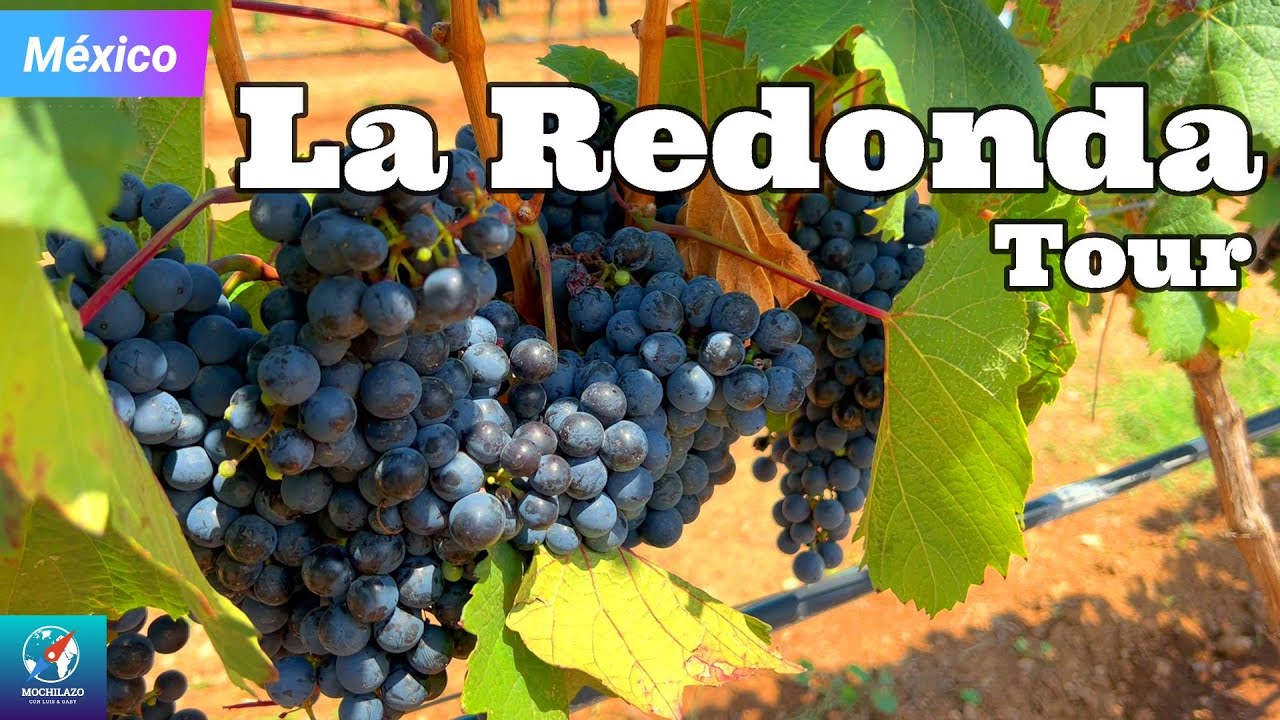 Viñedos LA REDONDA Querétaro - TOUR Completo | Mochilazo | MEXICO - YouTube