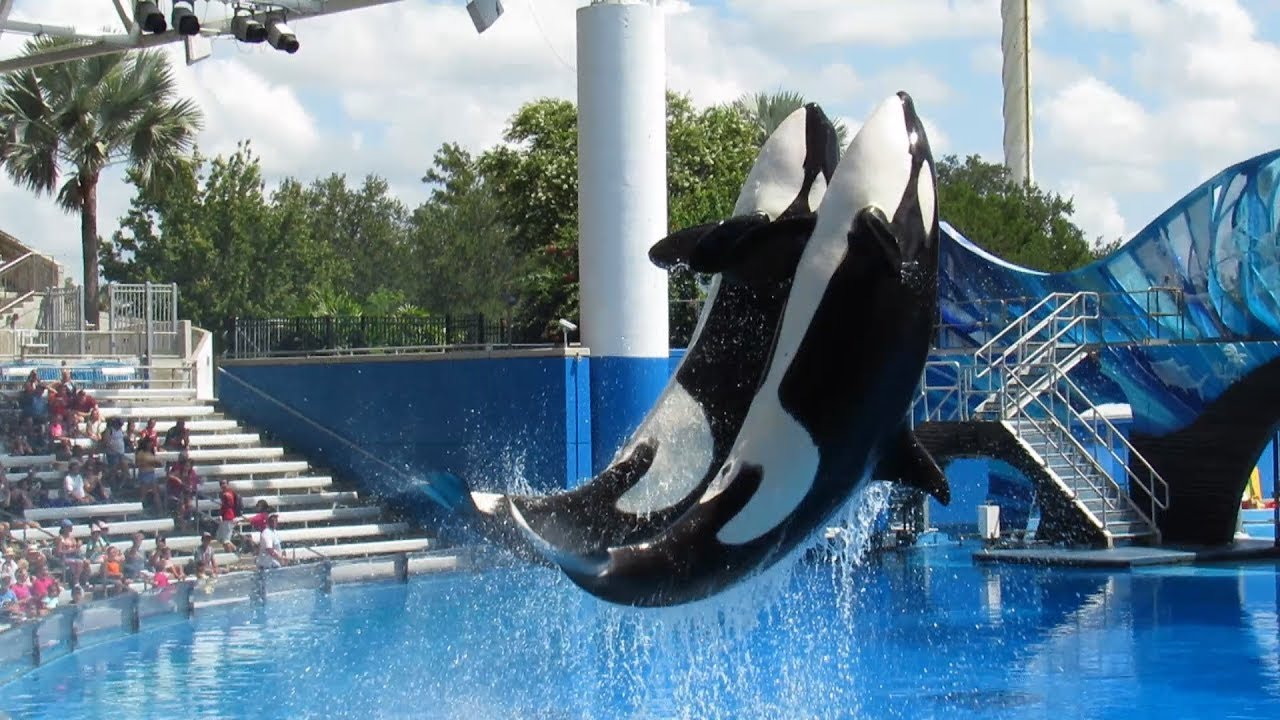 One Ocean - Full Shamu Show (7/21/19) - YouTube