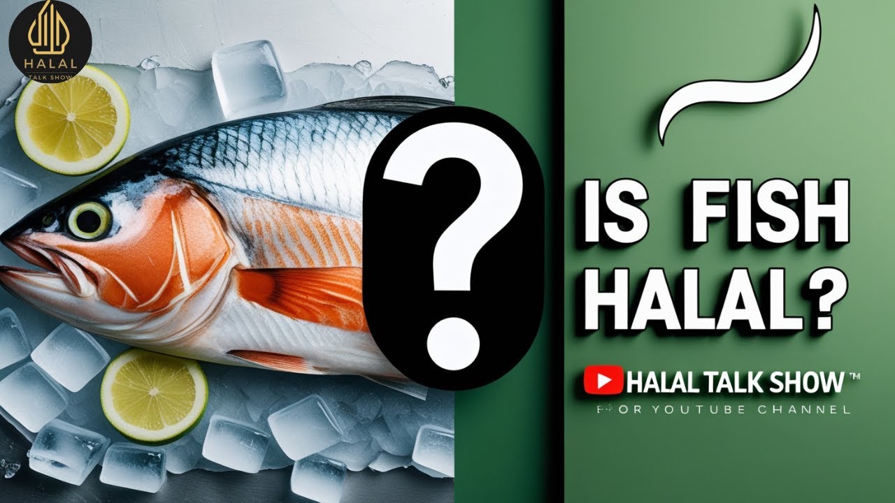Is Fish Halal? | Halal Status of Fish in Islam 🐟 | Halal Food Guide ...
