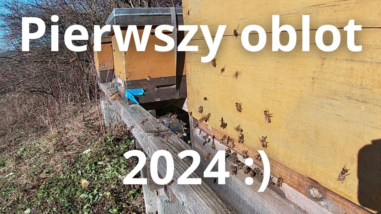 #129 Pierwszy oblot 2024 (29.01.2024) - YouTube