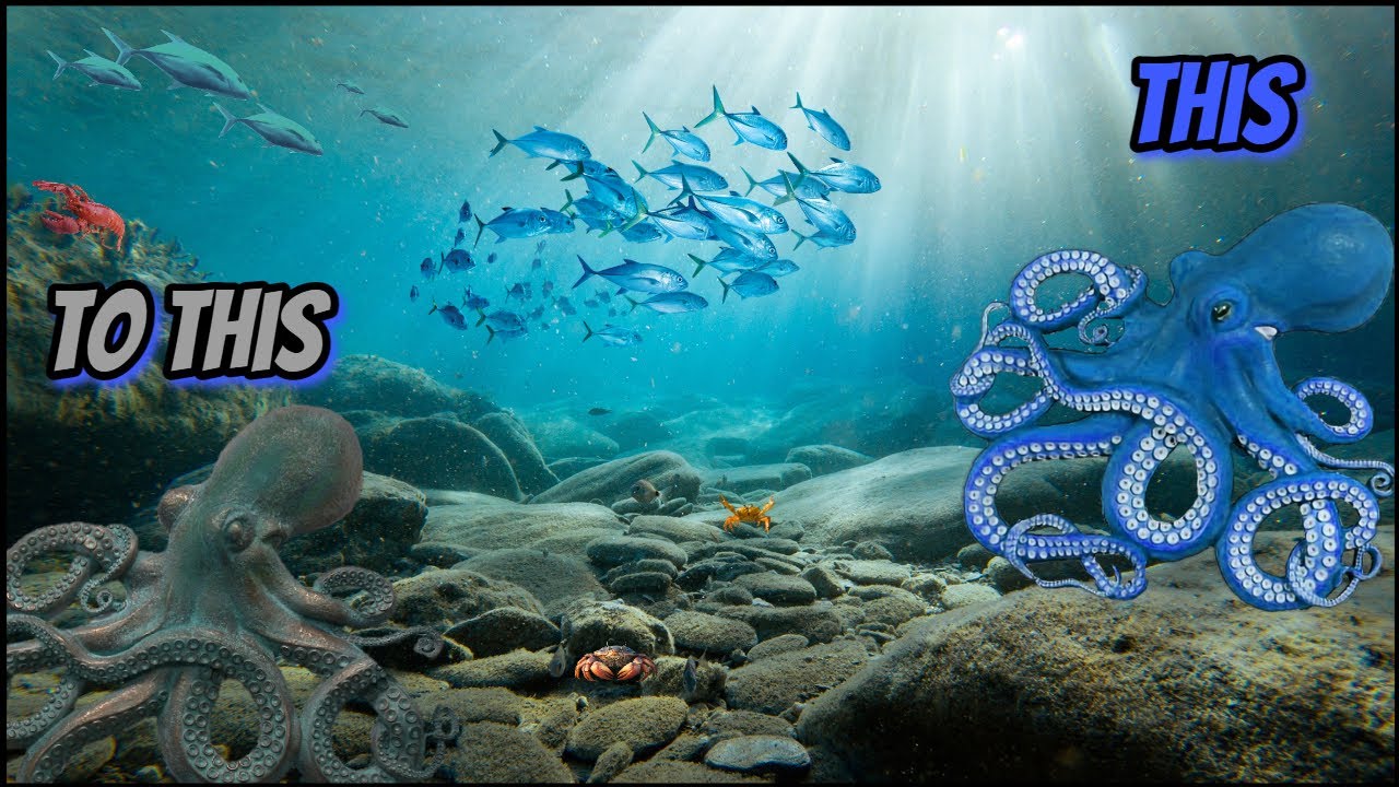 Mind-blowing Skills of an Octopus #octopus - YouTube