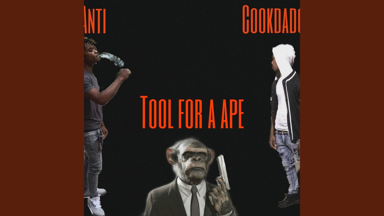Tool For A Ape - YouTube