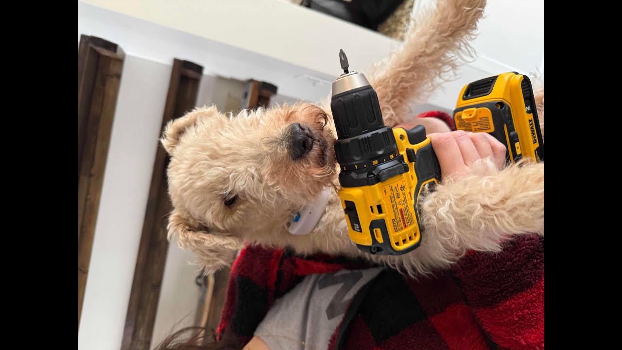 IRL Home Renovation - YouTube