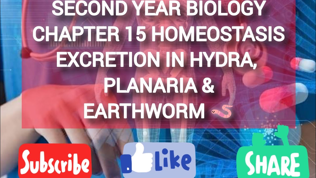 Excretion in HYDRA,PLANARIA & EARTHWORM|Secondyear biology chapter15| Biological Concepts # ...