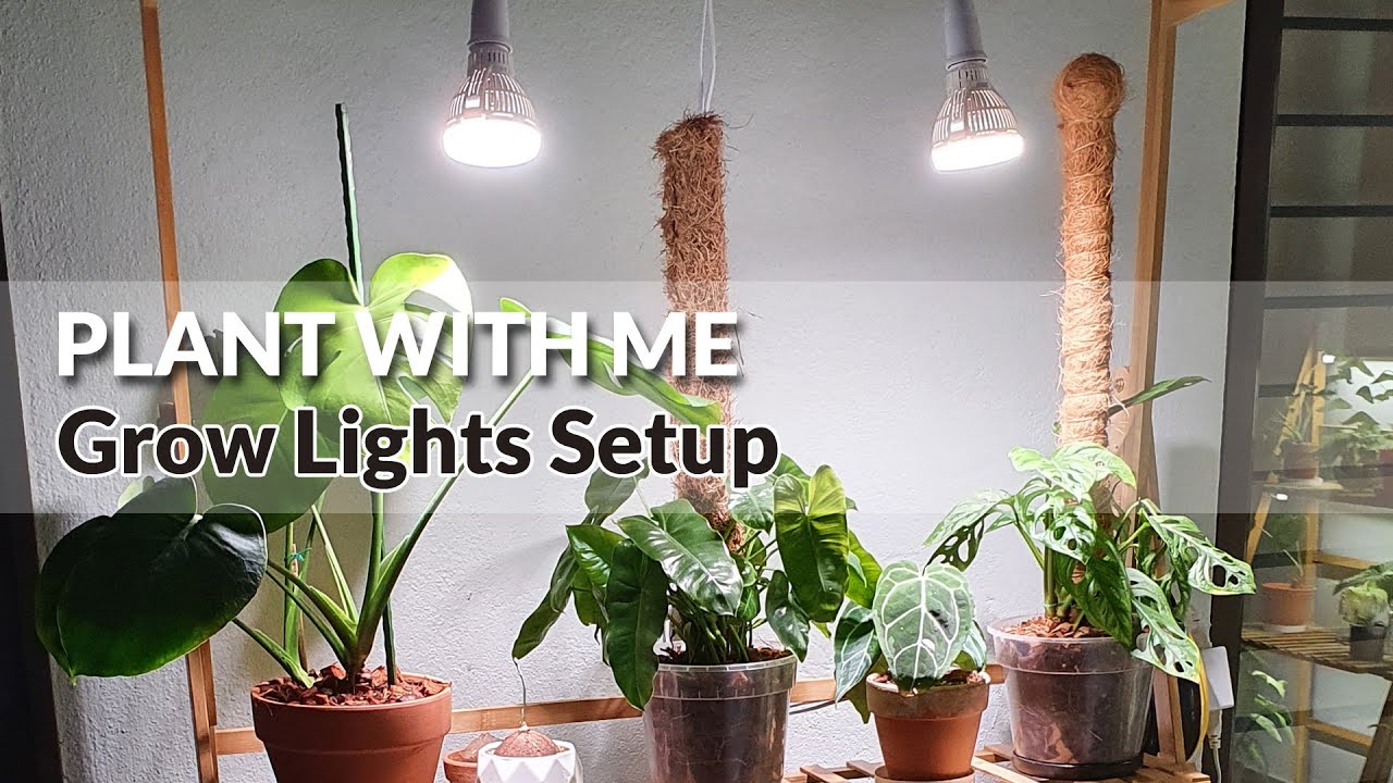 Grow Lights Setup - YouTube