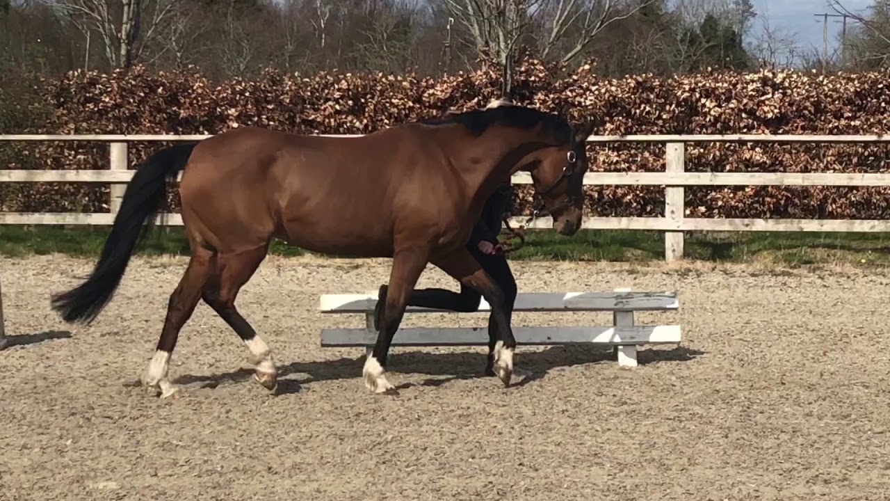 Hannah Groves & Millie - YouTube