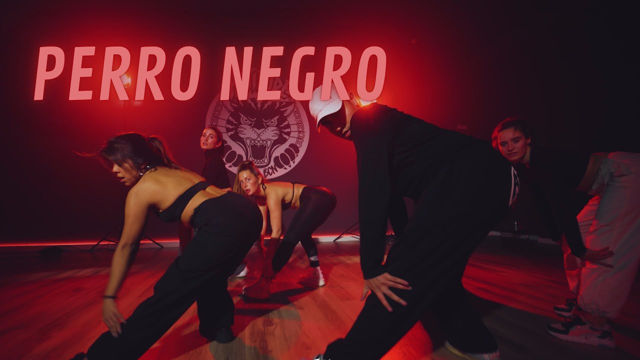 Perro Negro . Bad Bunny ft. Feid | Creador Angelo - YouTube