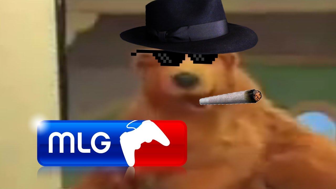 the bear in the big dank house - YouTube