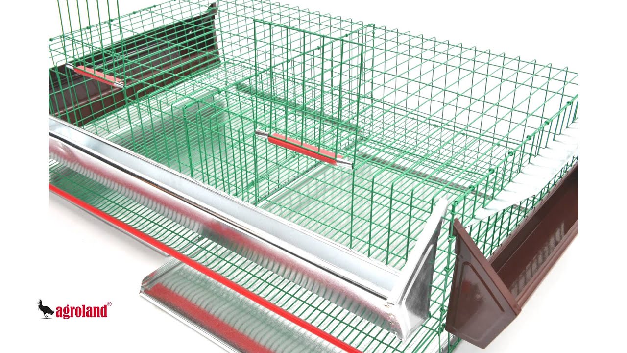 Cusca completa pentru 50 de prepelite - YouTube