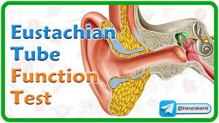 Eustachian Tube Function Tests Animation👂| ENT lecture... | Doovi