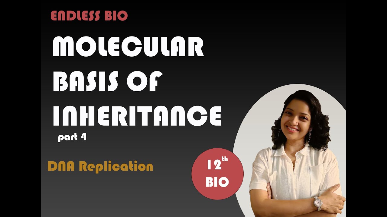 Grade 12 biology Molecular Basis of inheritance Part 4 (DNA Replication ...