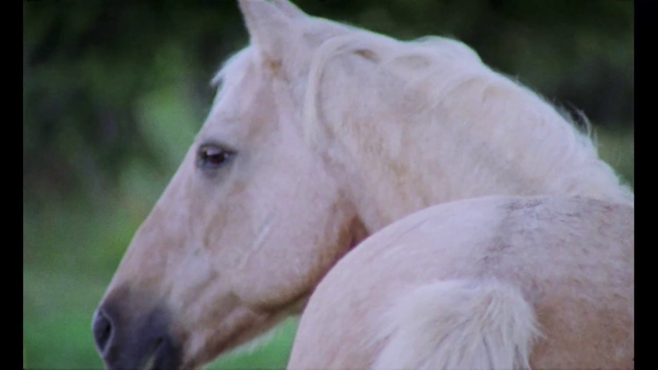 John Atkinson and Talya Cooper - Chillien (Excerpt) - YouTube