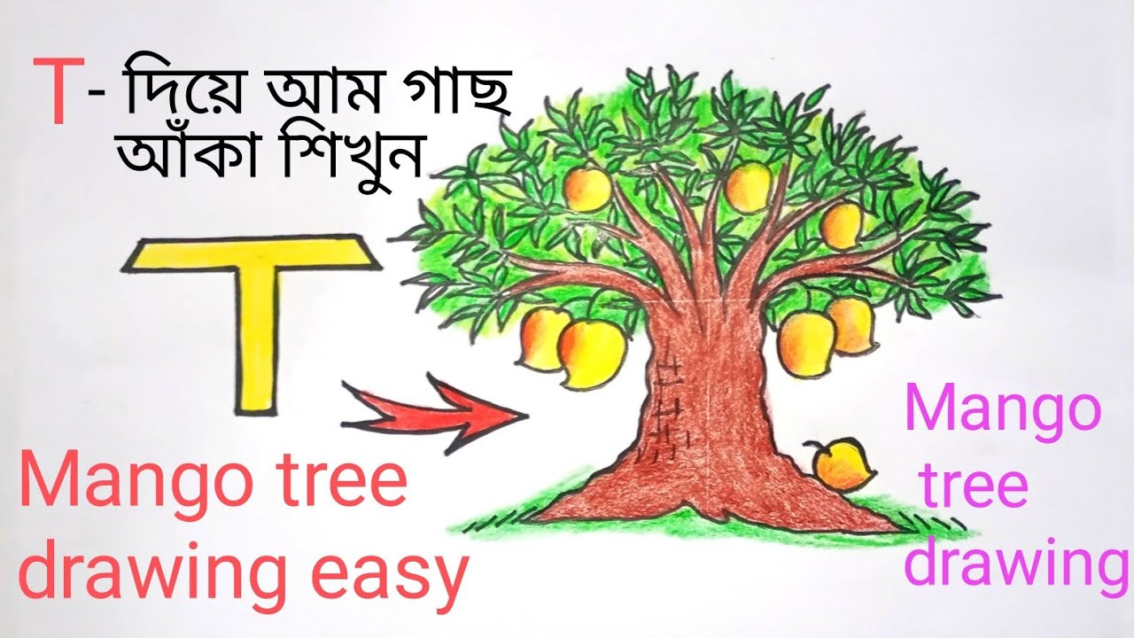 mango tree drawing l mango tree drawing easy l how to draw mango tree l ...
