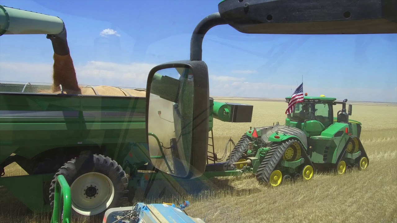 Kalcevic farms harvest 2018 with Walters Harvesting from Canada ...