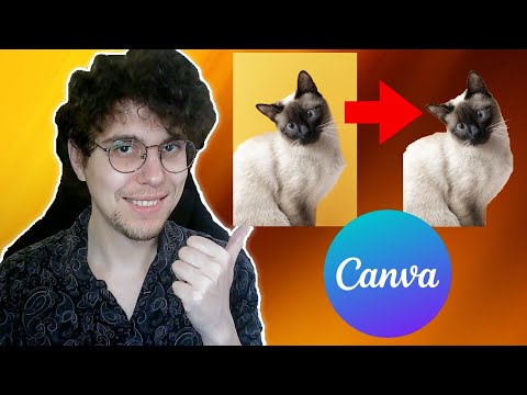 How To Cut Out An Image In Canva (FREE & PREMIUM)