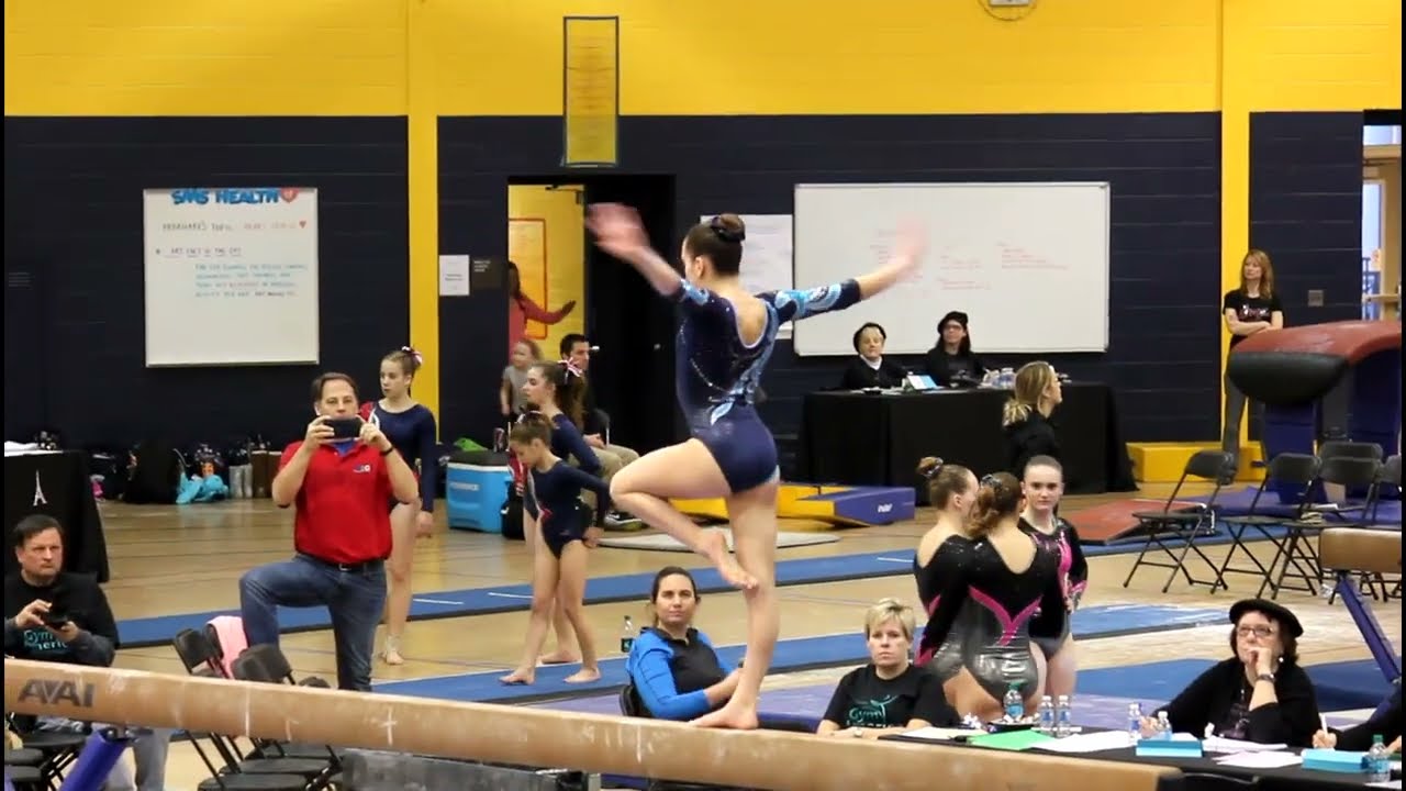Leah Clapper L10 Gymnastics Wolverine Classic Highlights 2/21/2015 ...
