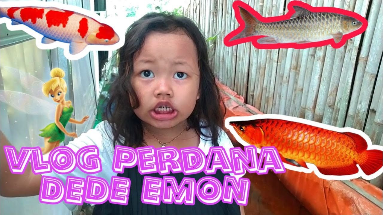 DEDE EMON NGASIH MAKAN IKAN NAGA🐲🐲🐠 - YouTube