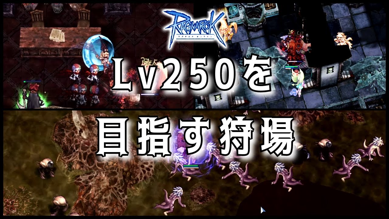 RO 徒歩メカがLv250を目指すためにハイクラス平地狩場を軽く振り返ります 2023 ゆっくり ラグナロクオンライン - YouTube