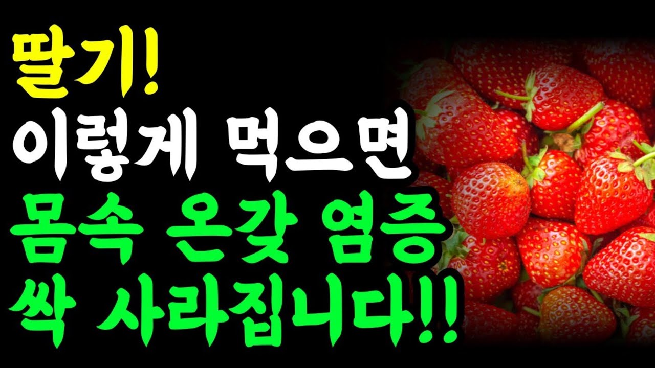 딸기의 놀라운 효능 이런 분 꼭 딸기 드세요 딸기 먹으면 안 되는 경우도 알아두세요 초간단 딸기 레시피 딸기의 힘